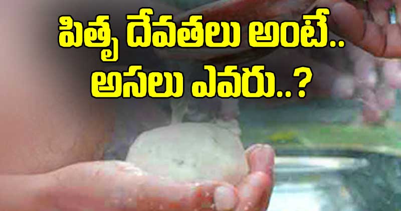 Pithru Devathalu : పితృ దేవతలు అంటే అసలు ఎవరు..? మరణించిన పెద్దలు కాదు ...